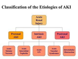 Acute kidney Injury today presenting dr. mohamed last 111111 (1).pptx