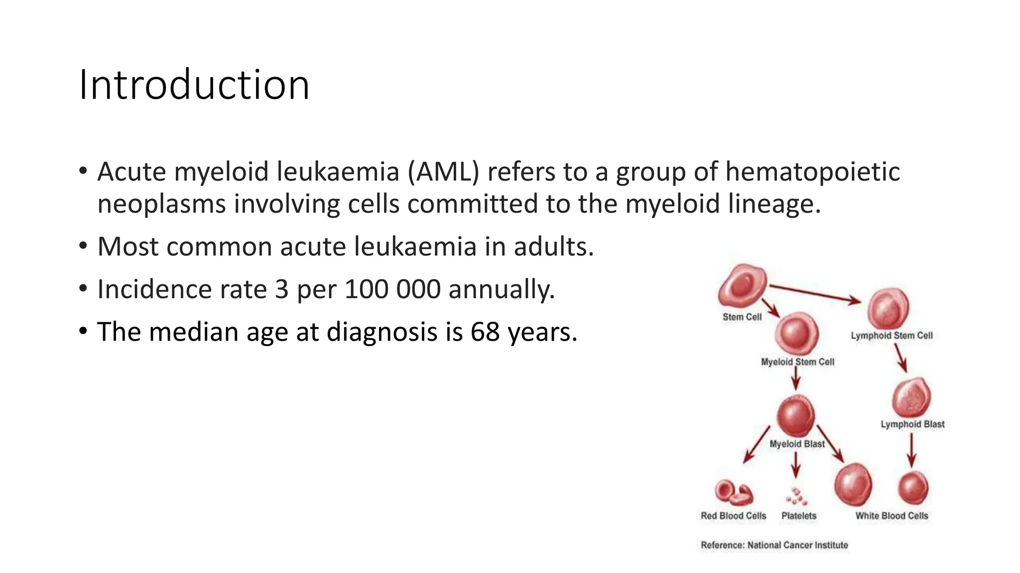 Acute Leukaemia - Most common leukaemia in adults | PPTX | Blood Disorders | Diseases and Conditions