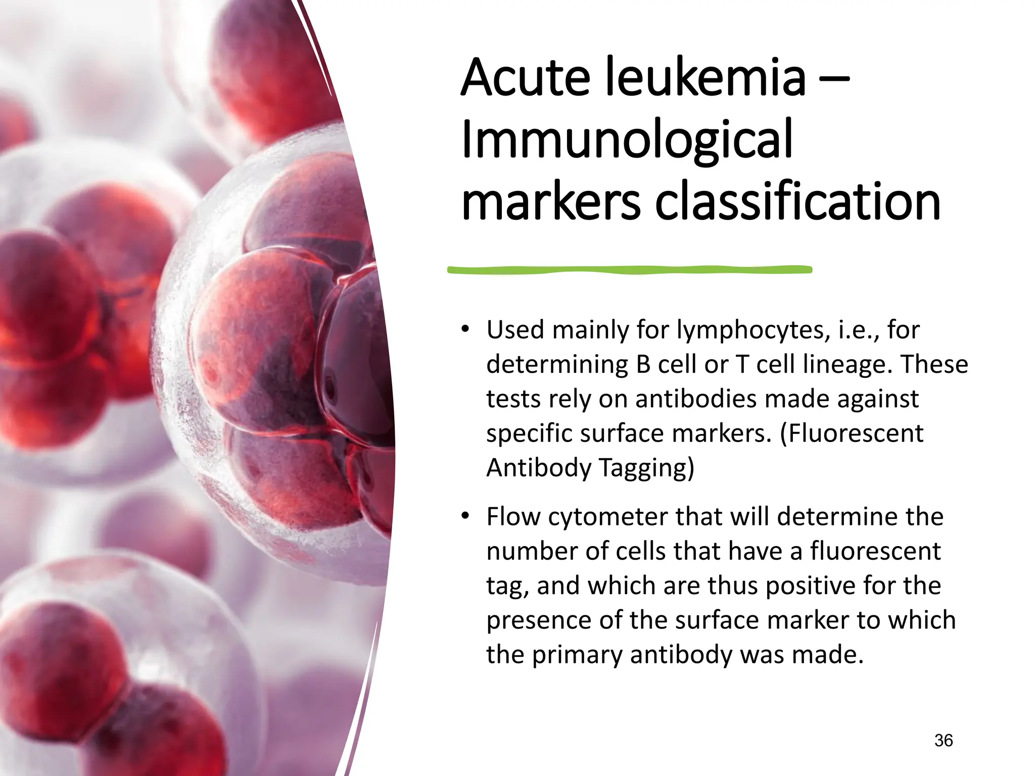 ACUTE LEUKAEMIA IN MYELOCYTIC AND LYMPHOCYTIC LINEAGE .pdf