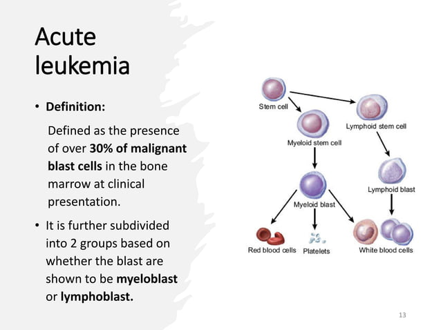 ACUTE LEUKAEMIA IN MYELOCYTIC AND LYMPHOCYTIC LINEAGE .pdf
