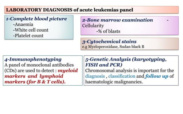 Acute leukemia -AML-ALL.ppt | Blood Disorders | Diseases and Conditions