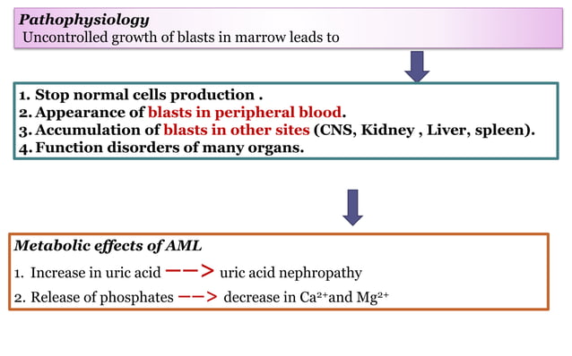 Acute leukemia -AML-ALL.ppt | Blood Disorders | Diseases and Conditions
