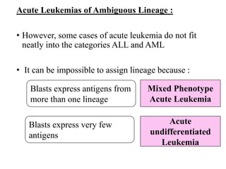 Acute leukemias of ambiguous origin | PPTX