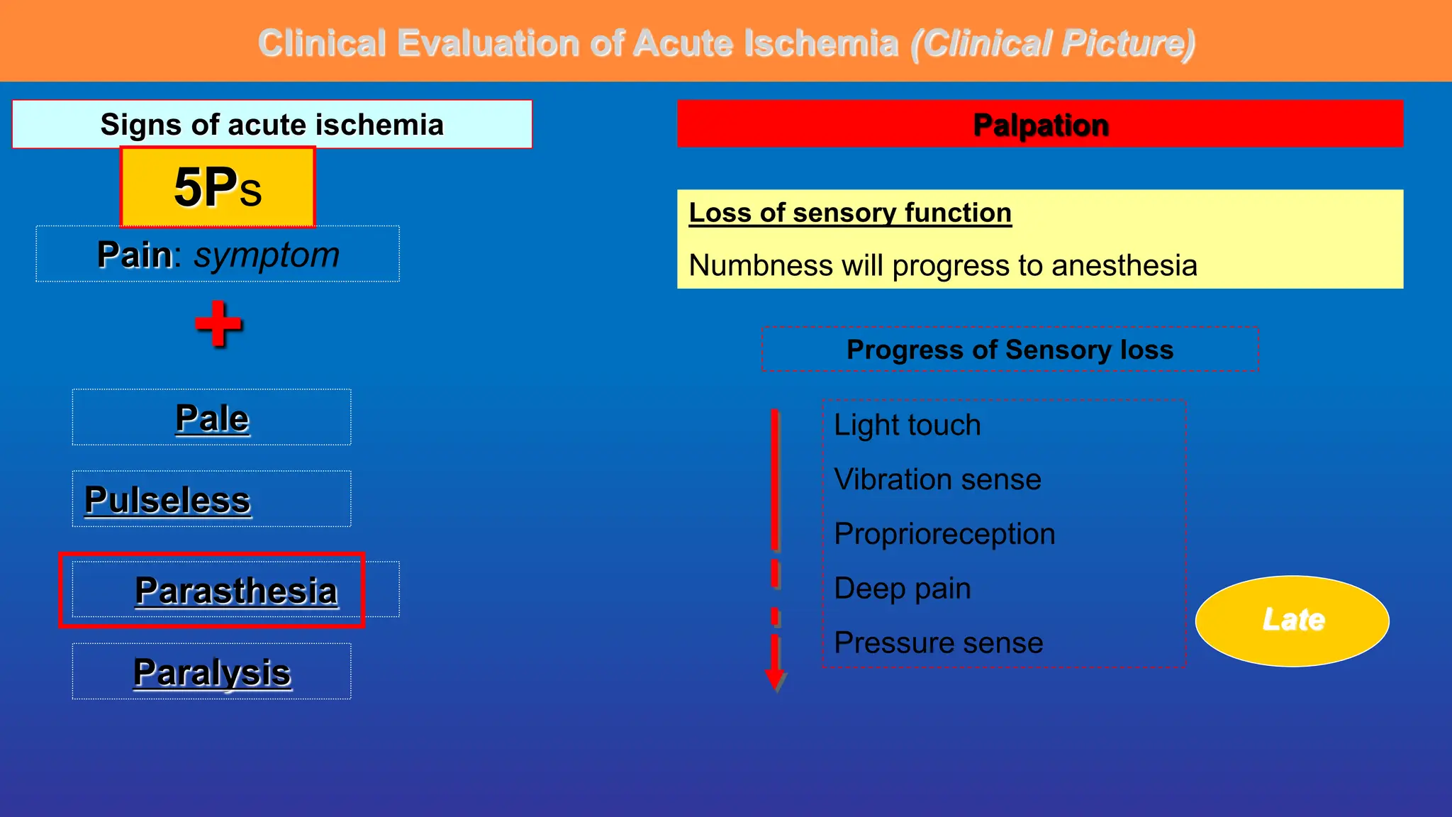 Diagnosis and management of Acute limb -ischemia (1).ppt