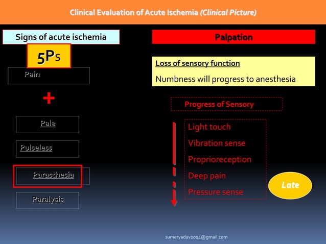Acute limb ischaemia | PPTX | First Aid | Injuries