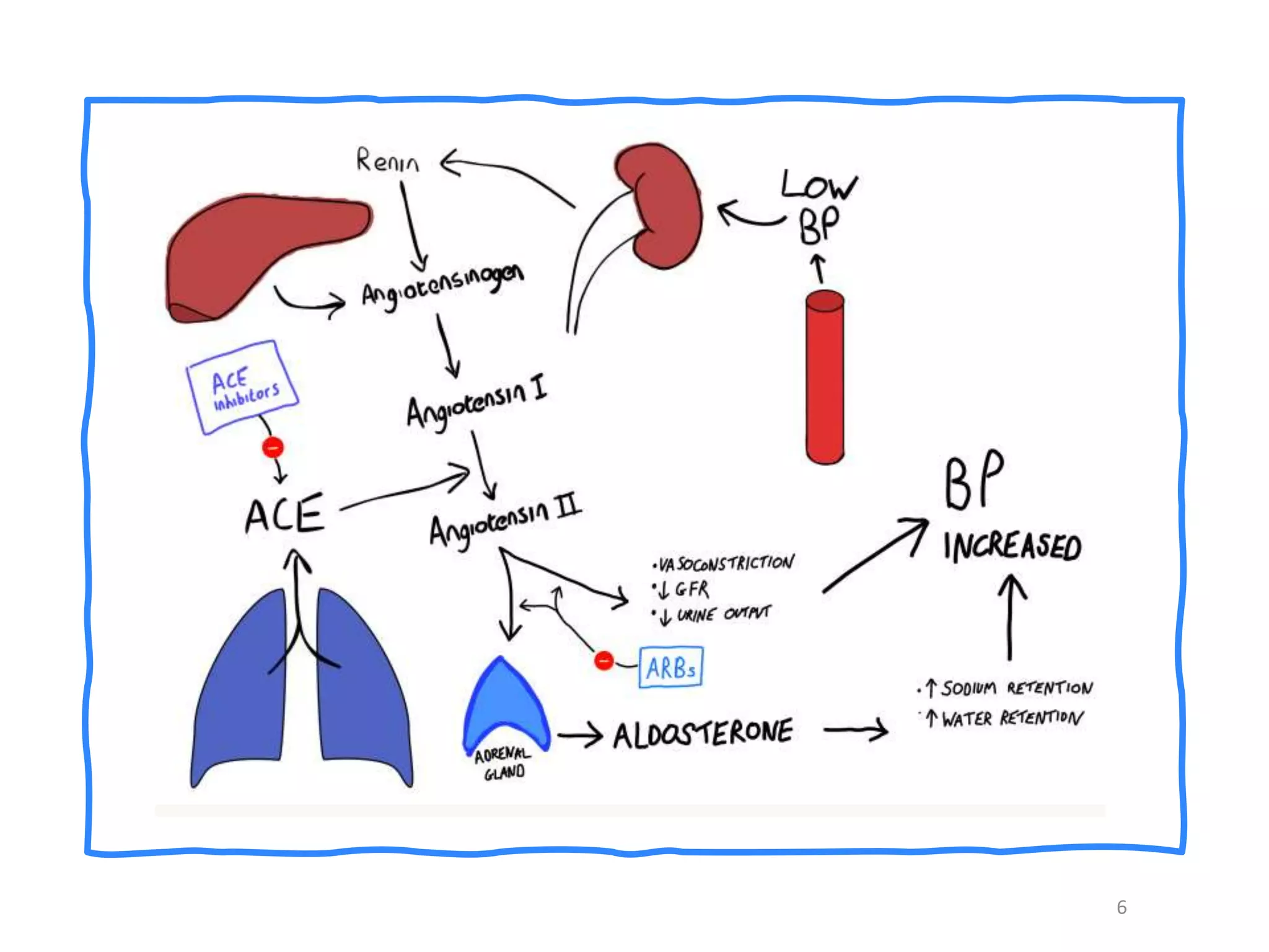 Acute Limb Weakness.pptx