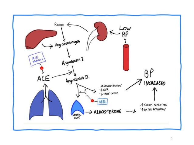 Acute Limb Weakness.pptx