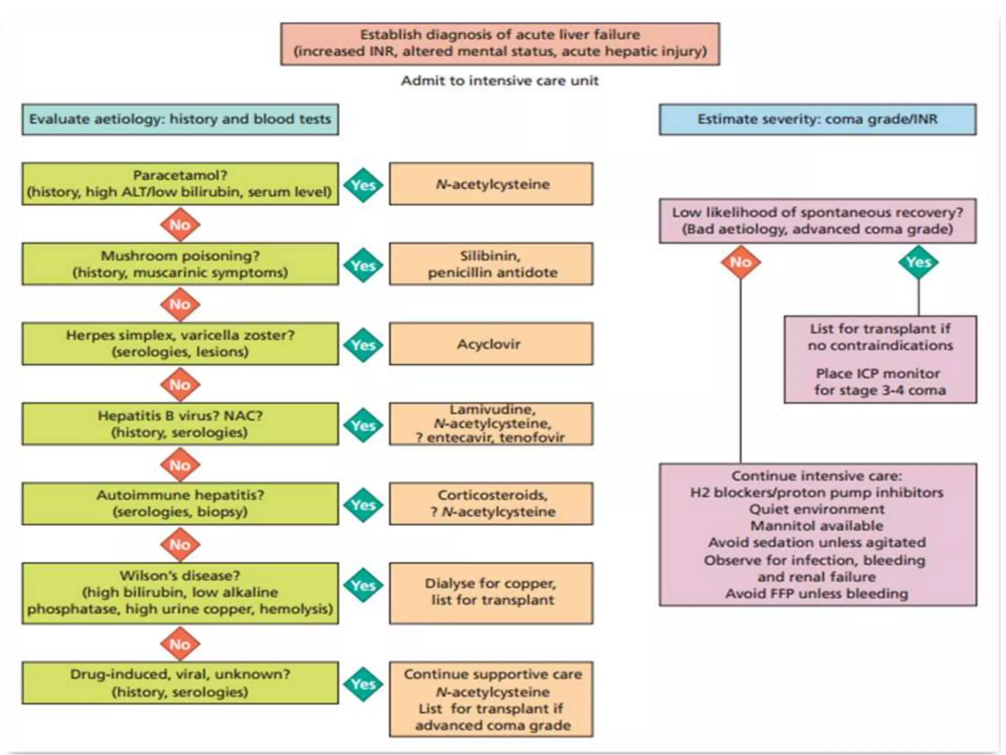 Acute liver failure | PPTX