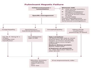 APPROACH TO ACUTE HEPATIC FAILURE.pptx CC | PPT