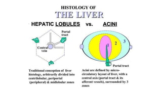 ACUTE LIVER FAILURE.pptx HEPATOBILIARY SYSTEM | PPT