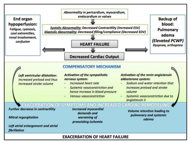 Acute left ventricular failure secondary to Ischemic heart disease and ...