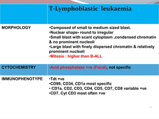 Acute lymphoblastic leukemia (ALL) dr arun haldia | PPTX