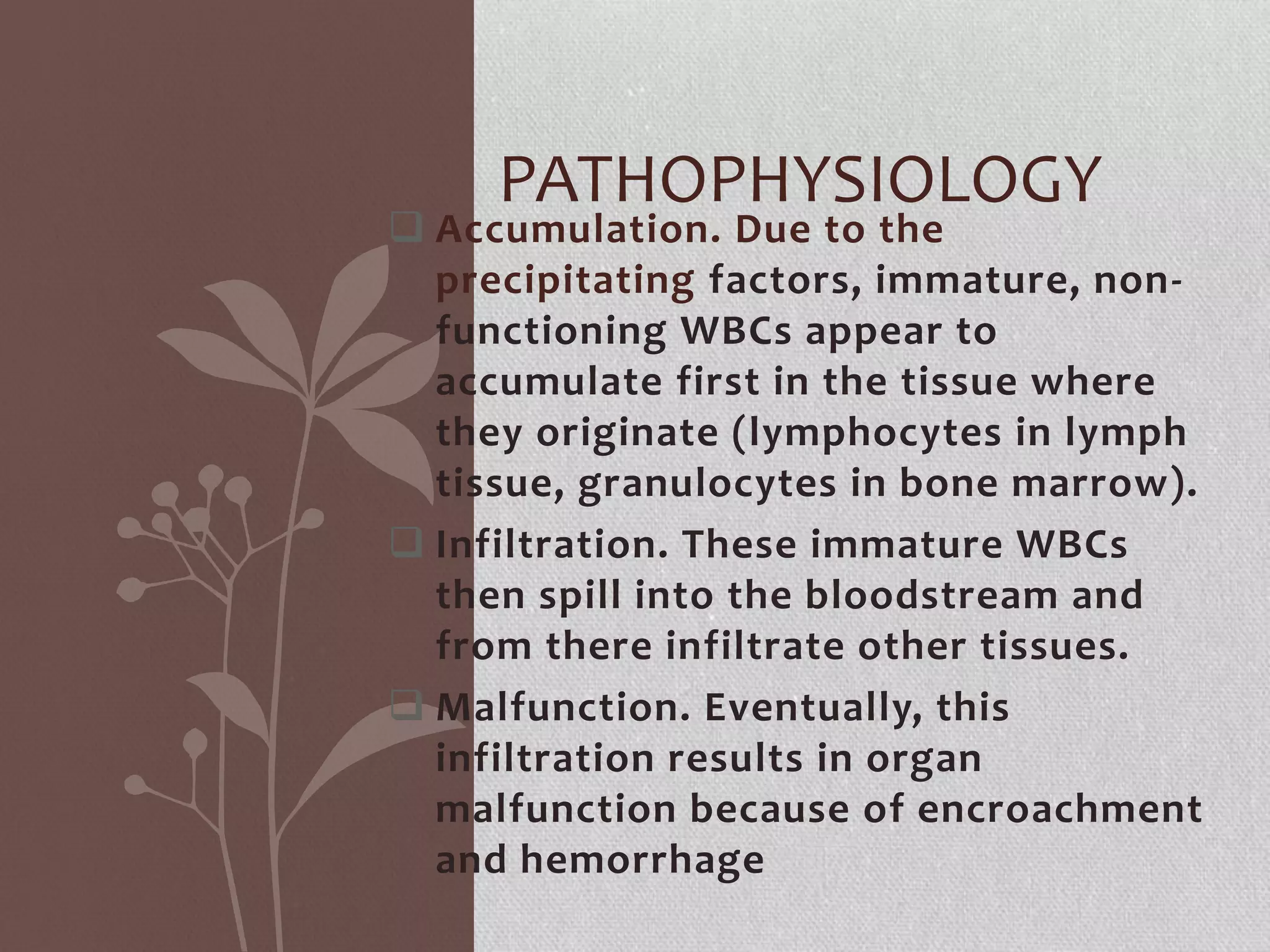 Acute lymphocytic leukemia | PPTX