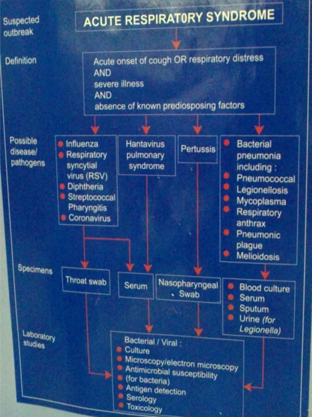 Acute management | PDF