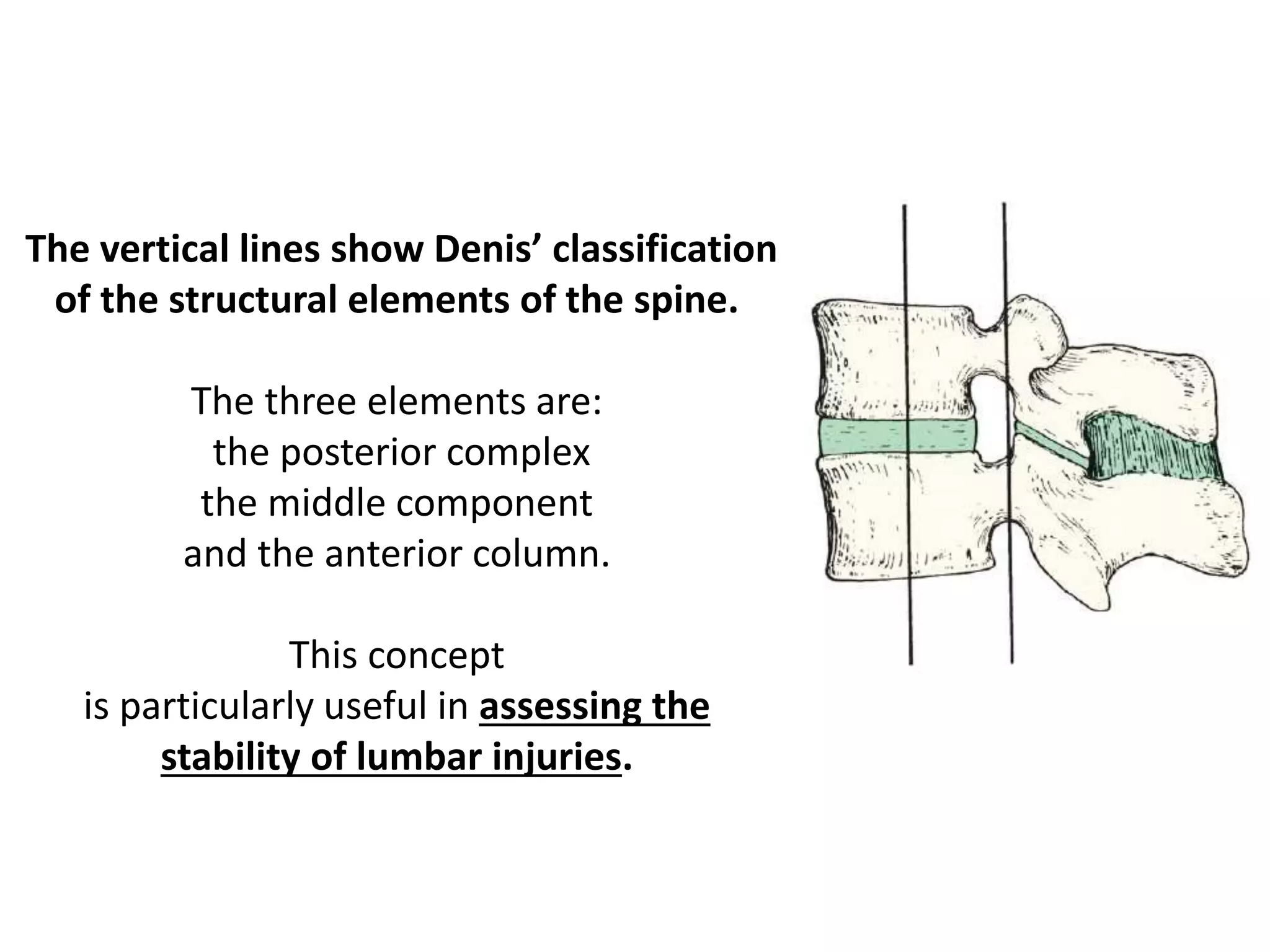 Acute management and decision making in spinal cord injury by dr ss ...