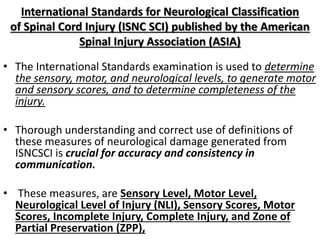 Acute management and decision making in spinal cord injury by dr ss ...