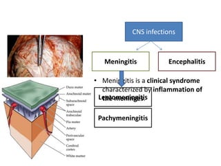 Meningitis: Epidemiology, diagnosis and management | PPTX