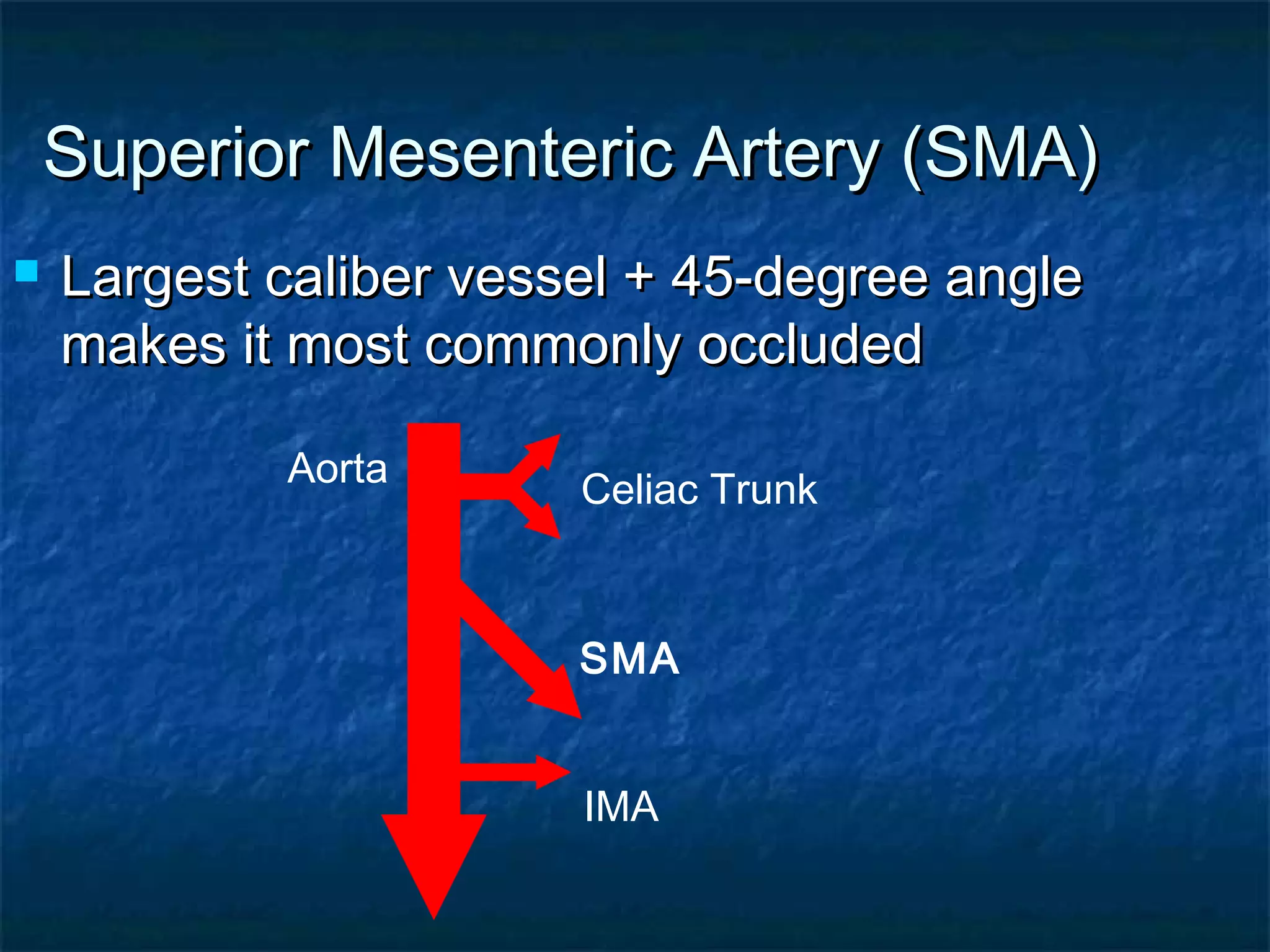 Acute mesenteric ischemia | PPT