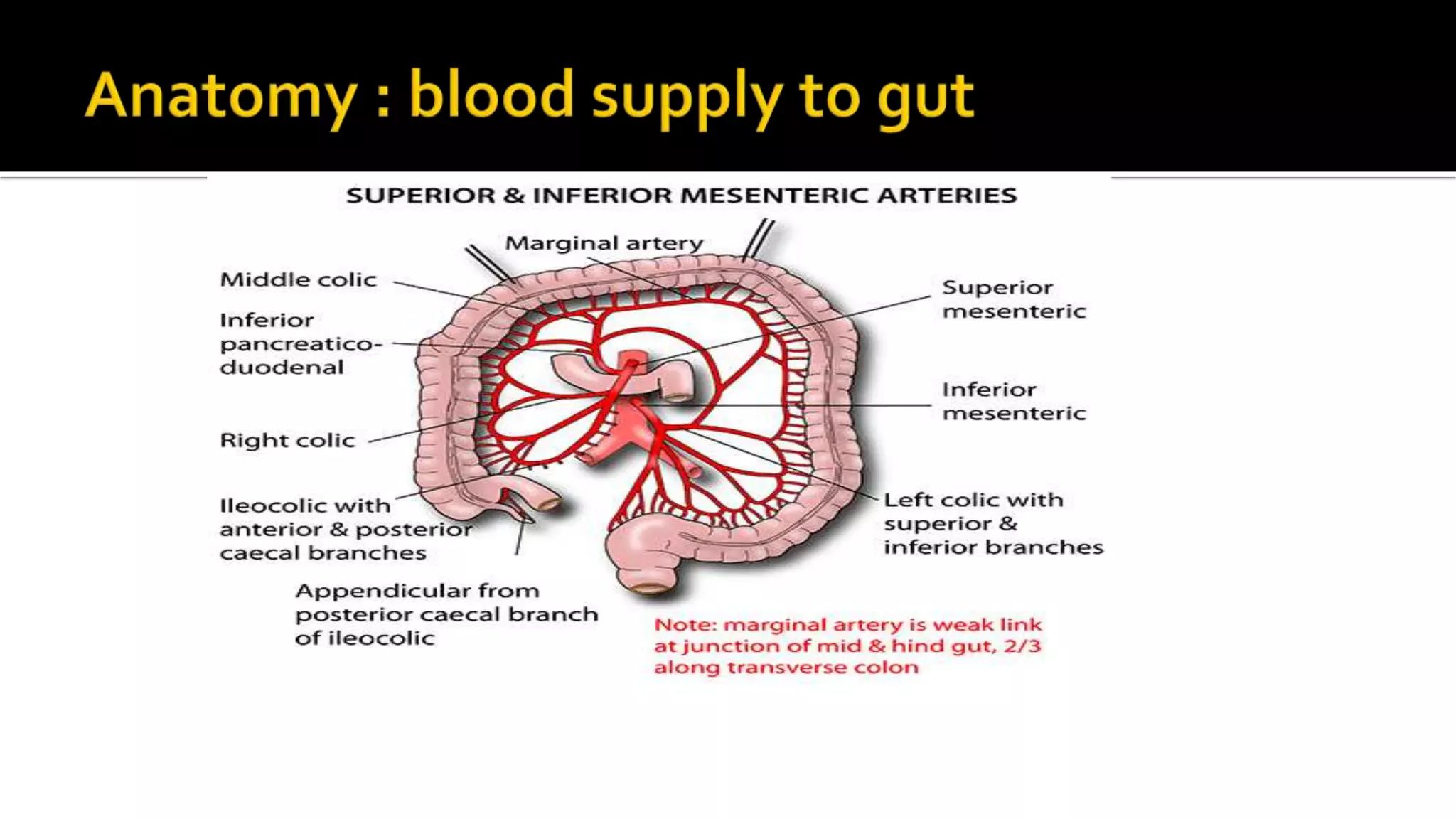 Acute mesenteric ischemia | PPTX