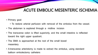 Acute mesenteric ischemia; anatomy, pathophysiology and management | PPTX