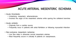 Acute mesenteric ischemia; anatomy, pathophysiology and management | PPTX