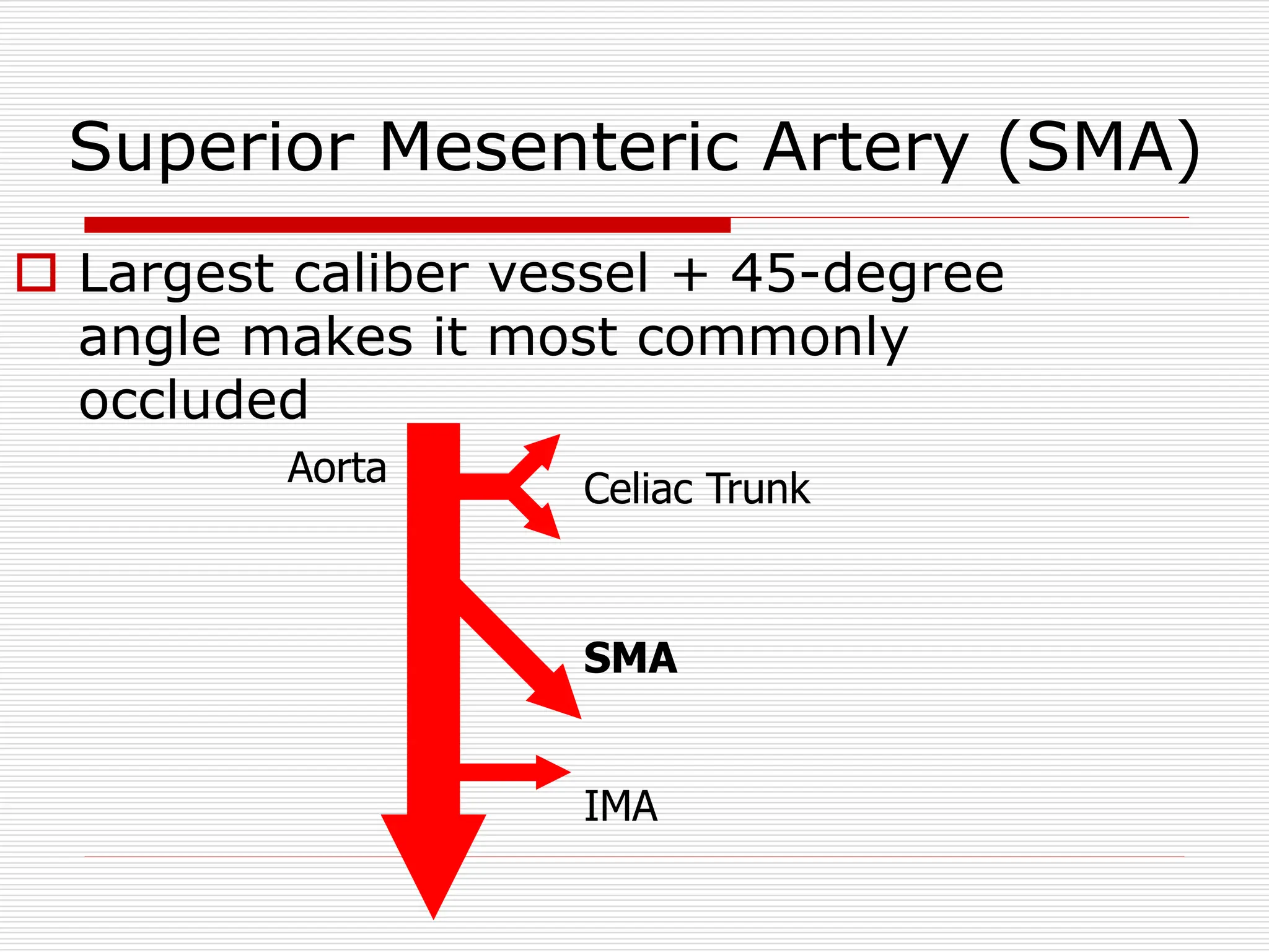 acute mesentric ischemia sanaa university .ppt