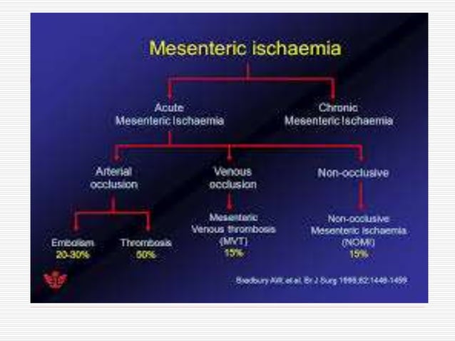 acute mesentric ischemia sanaa university .ppt
