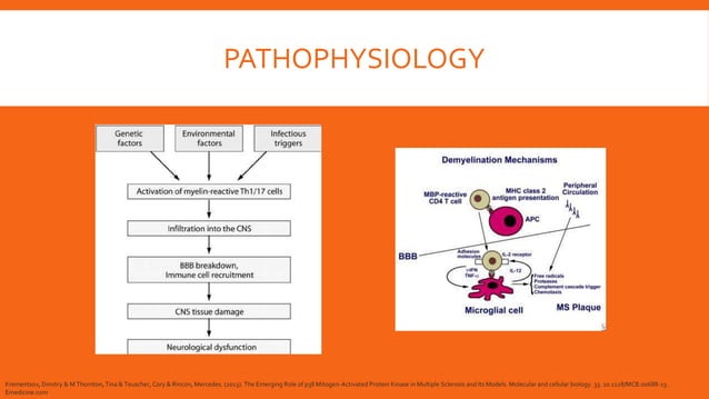 Acute Multiple Sclerosis Relapse Treatment | PPTX | Brain and Nervous System Disorders ...