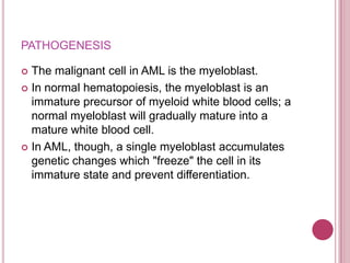 Acute myelogenous leukemia (aml) | PPTX