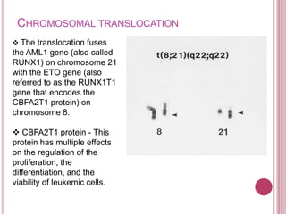Acute myelogenous leukemia (aml) | PPTX