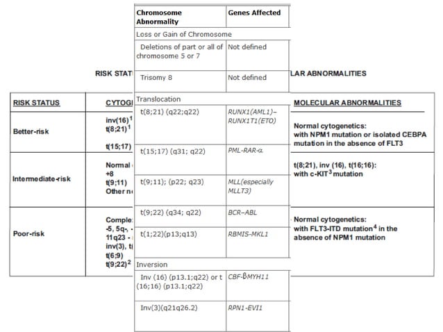 Acute Myelogenous Leukaemia | PPT