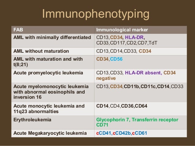 Acute myeloid leukemia