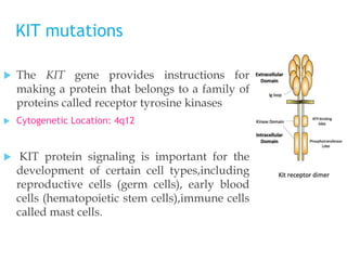 Acute myeloid leukemia | PPTX