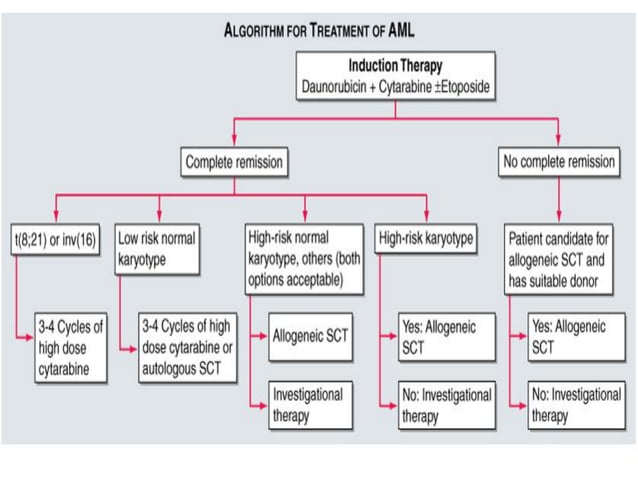 Acute myeloid leukemia | PPT