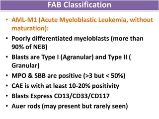 Acute Myeloid Leukemia | PPTX