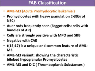Acute Myeloid Leukemia | PPTX