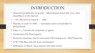 ACUTE MYELOID LEUKEMIA PPT .presentstion | PPTX
