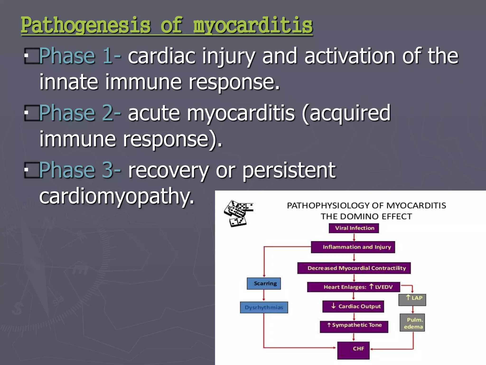 Acute myocarditis - Dr.vikash kumar, BSMU | PPT
