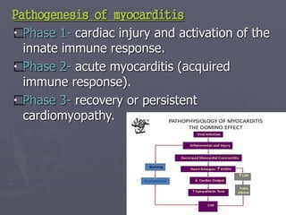 Acute myocarditis - Dr.vikash kumar, BSMU | PPT | Heart and ...