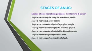 Acute Necrotizing Ulcerative Gingivitis.pptx