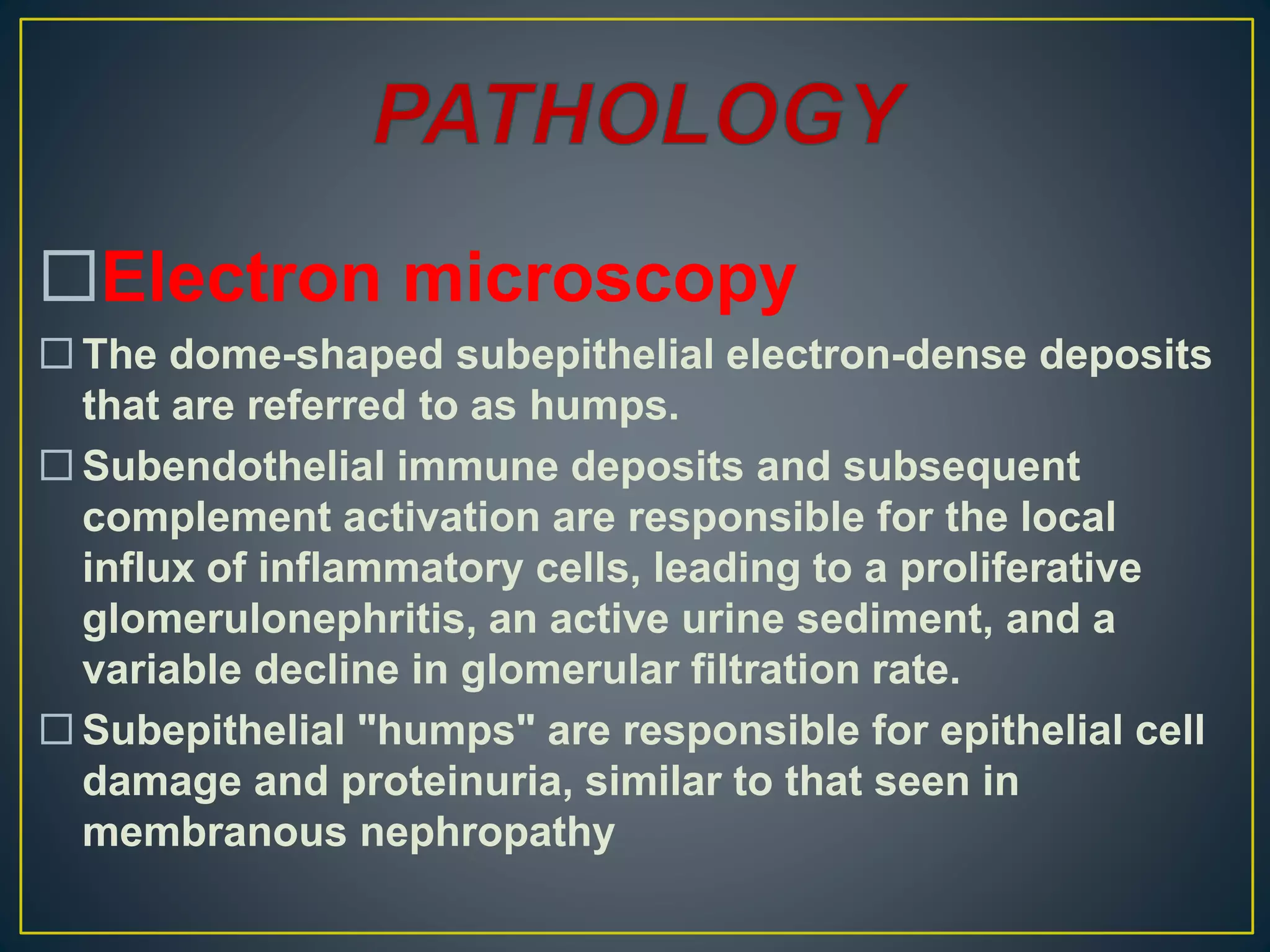 Acute Nephritic Syndrome VKP.pptx