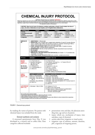 Acute ocular chemical injury A descriptive assessment and management review at SJEH Jerusalem ...