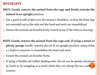 Acute oral toxicity –acute class method | PPTX