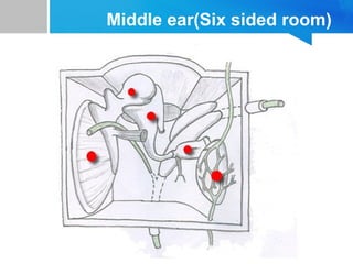 ACUTE OTITIS MEDIA presentation.pptx Introduction Definition Anatomy ...