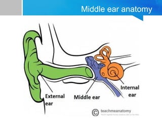 ACUTE OTITIS MEDIA presentation.pptx Introduction Definition Anatomy ...