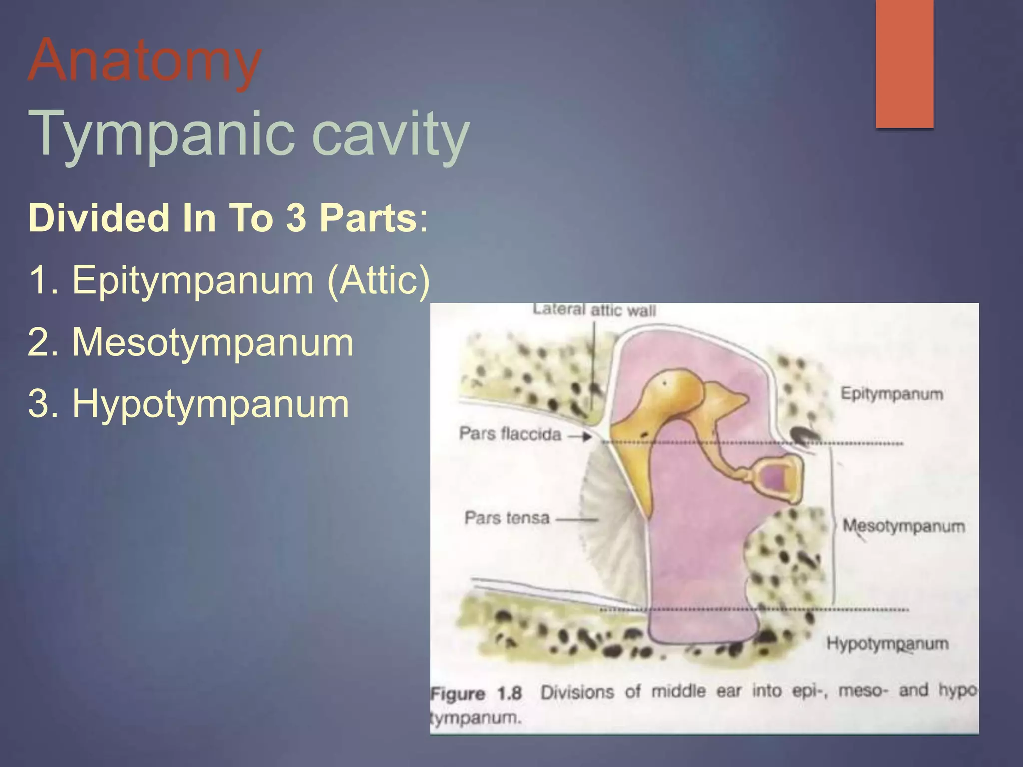Acute otitis media | PPTX | Ear, Nose and Throat Conditions | Diseases ...