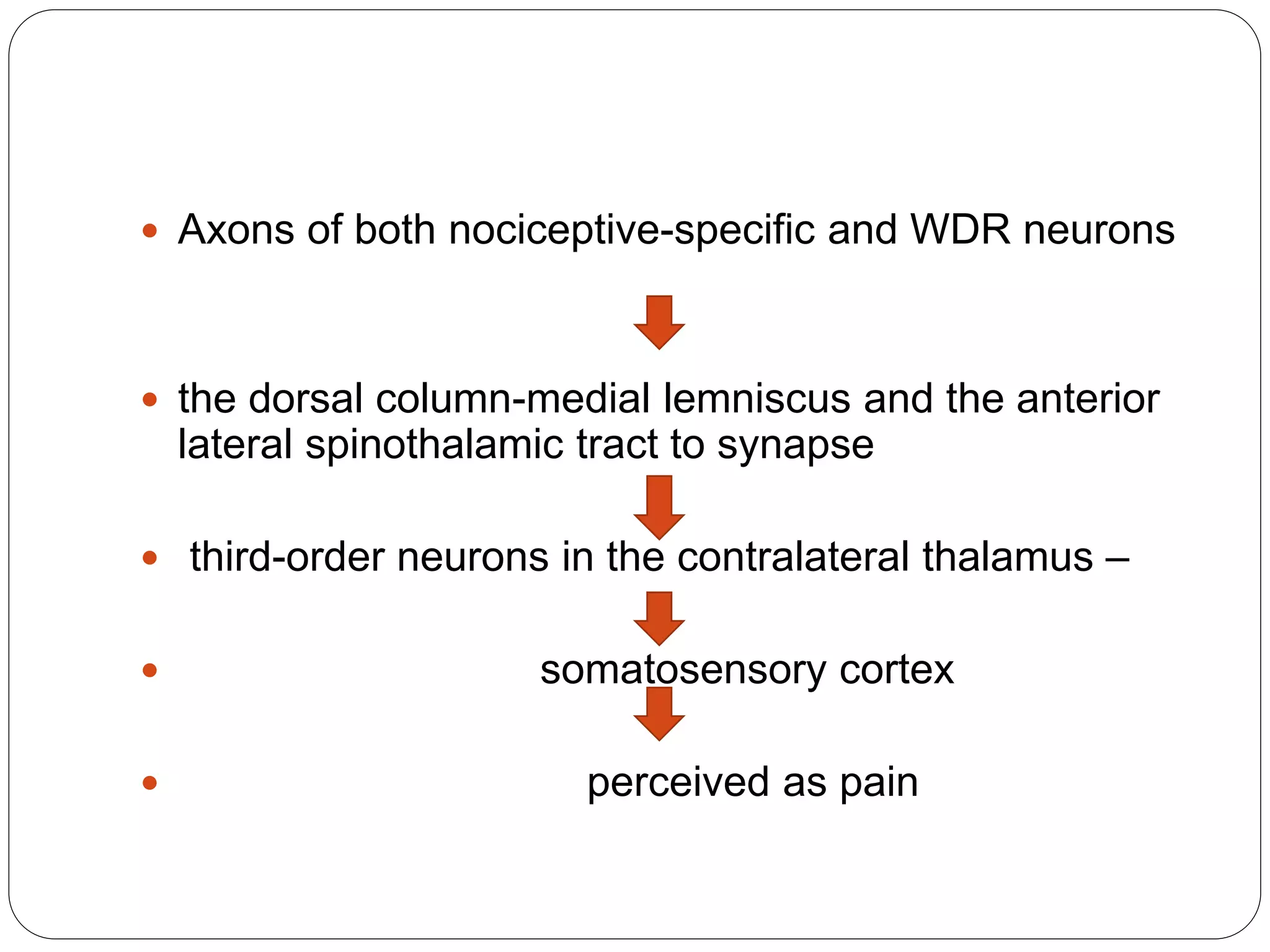 Acute pain and its management | PPTX