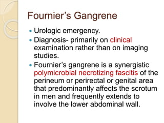 Acute painful scrotum | PPTX