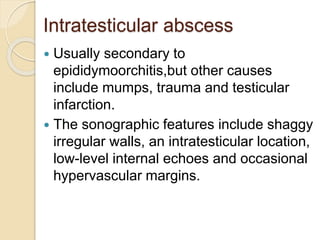 Acute painful scrotum | PPTX