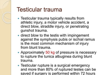 Acute painful scrotum | PPTX